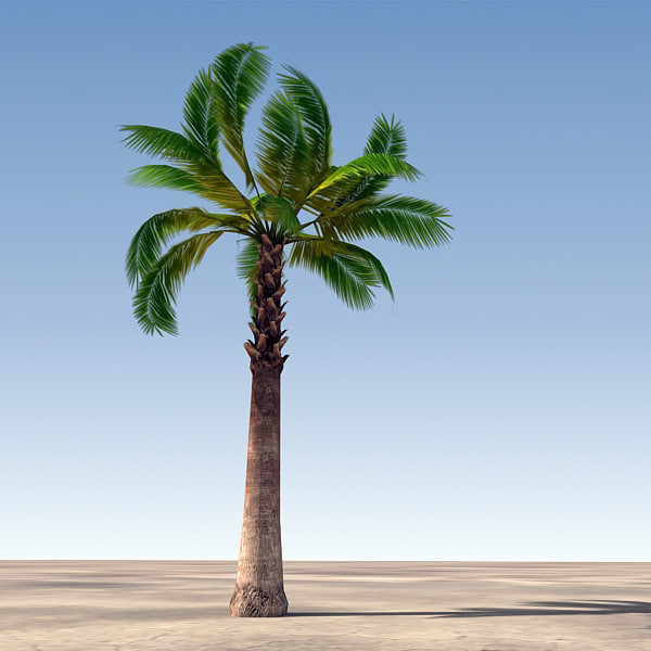 Edoan ⚜ Online songs and bio of the artist — mdundo.com