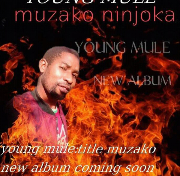 Young mule ⚜ Online songs and bio of the artist — mdundo.com