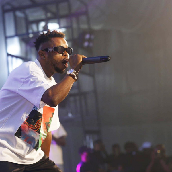 BUNNY BOO by REX CODED ⚜ Download or listen online — mdundo.com