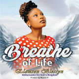 Elamson Blessyn ⚜ Online songs and bio of the artist — mdundo.com